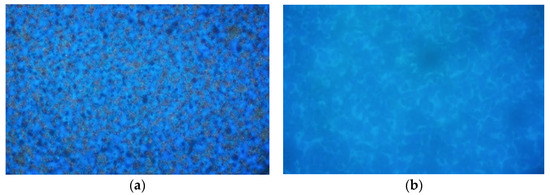 Study on Modification Mechanism and Performance of Waterborne Epoxy ...