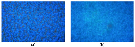 Study on Modification Mechanism and Performance of Waterborne Epoxy ...
