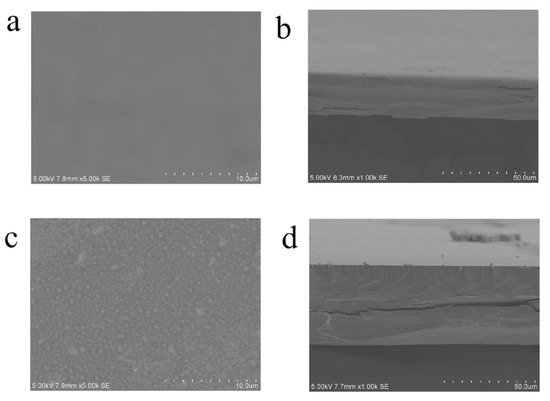 Preparation, Characterization, and Application of Sodium Alginate/ε ...