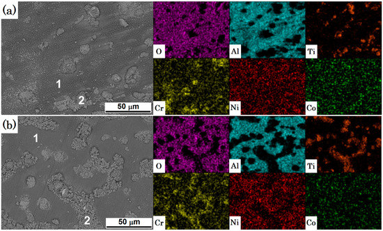 Cyclic Oxidation Behavior of Conventional and Niobium-Modified MAR-M246 ...