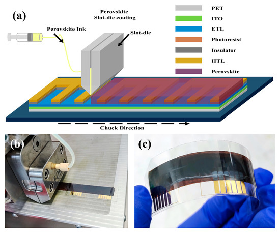 Slot-Die-Coated Active Layer for Printed Flexible Back-Contact Perovskite Solar Cells