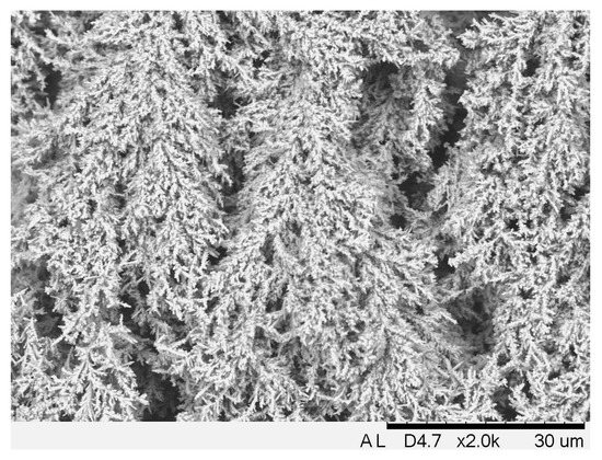 Eco-Friendly Electrowinning for Metals Recovery from Waste Electrical ...