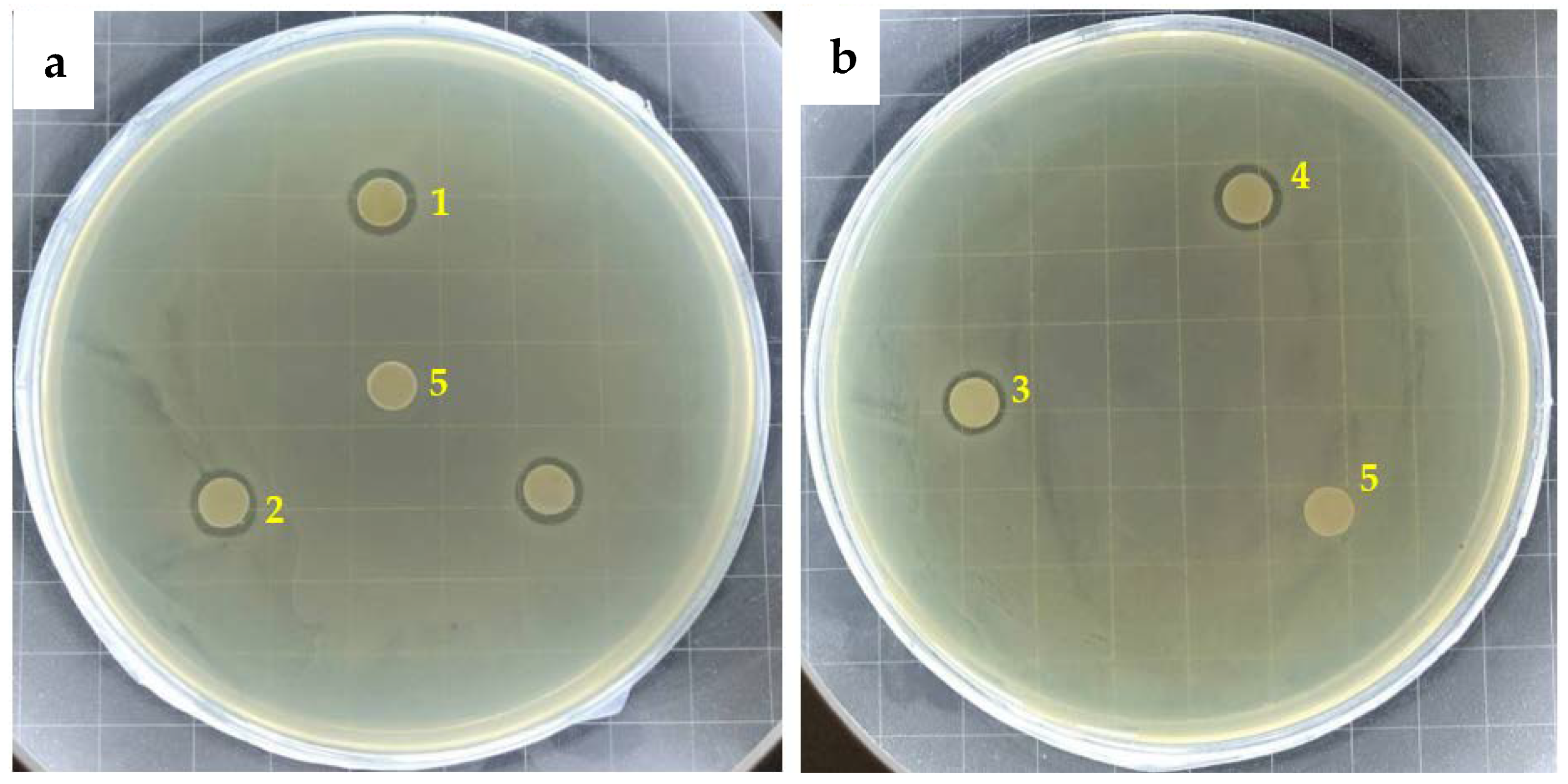 Fabrication of Nano-Silver–Silver Ion Composite Antibacterial Agents ...