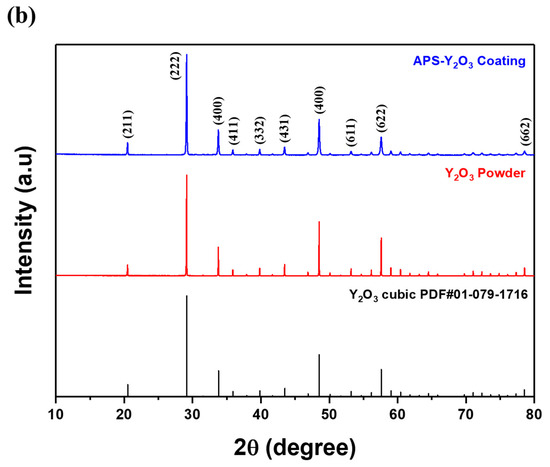 Cleaning Effect of Atmospheric-Plasma-Sprayed Y2O3 Coating Using ...