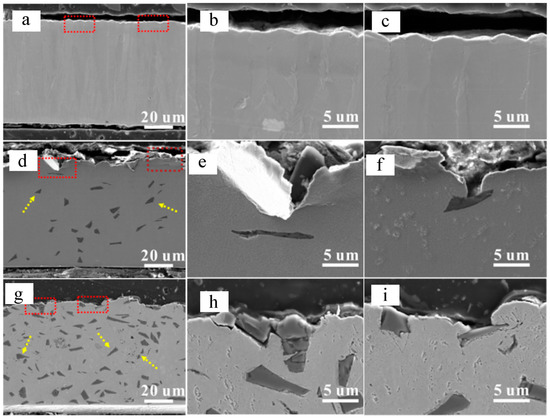 Investigation on Microstructure and Properties of the Electrodeposited ...