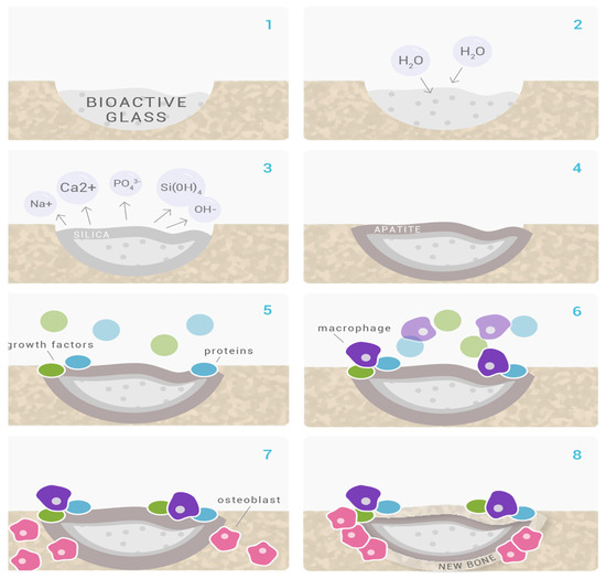 Bioactive Glass Applications in Different Periodontal Lesions: A ...