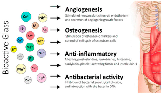 Bioactive Glass Applications in Different Periodontal Lesions: A ...