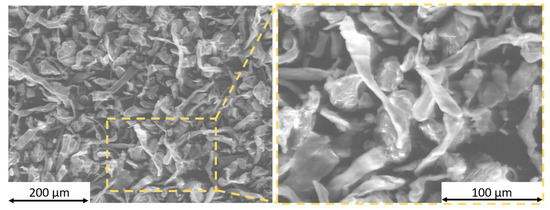 Impact of High Concentrations of Cellulose Fibers on the Morphology ...