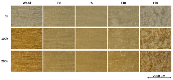 Coatings | Free Full-Text | Impact of High Concentrations of Cellulose ...