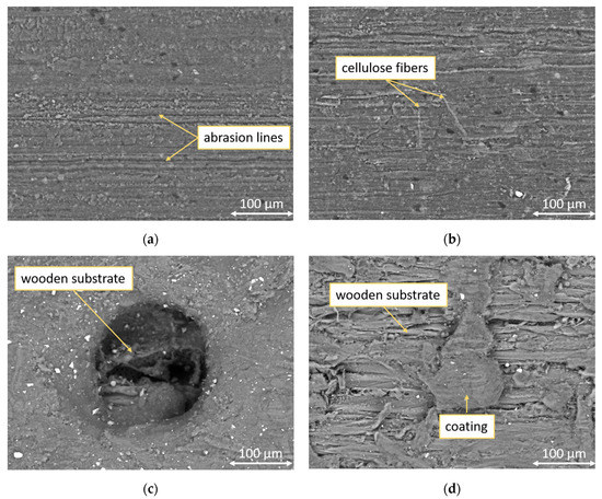 Coatings | Free Full-Text | Impact of High Concentrations of Cellulose ...