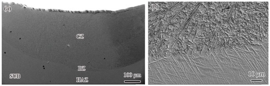 Gradient Coating of Laser Cladding TiB2/Ti-Based Alloy on Titanium ...