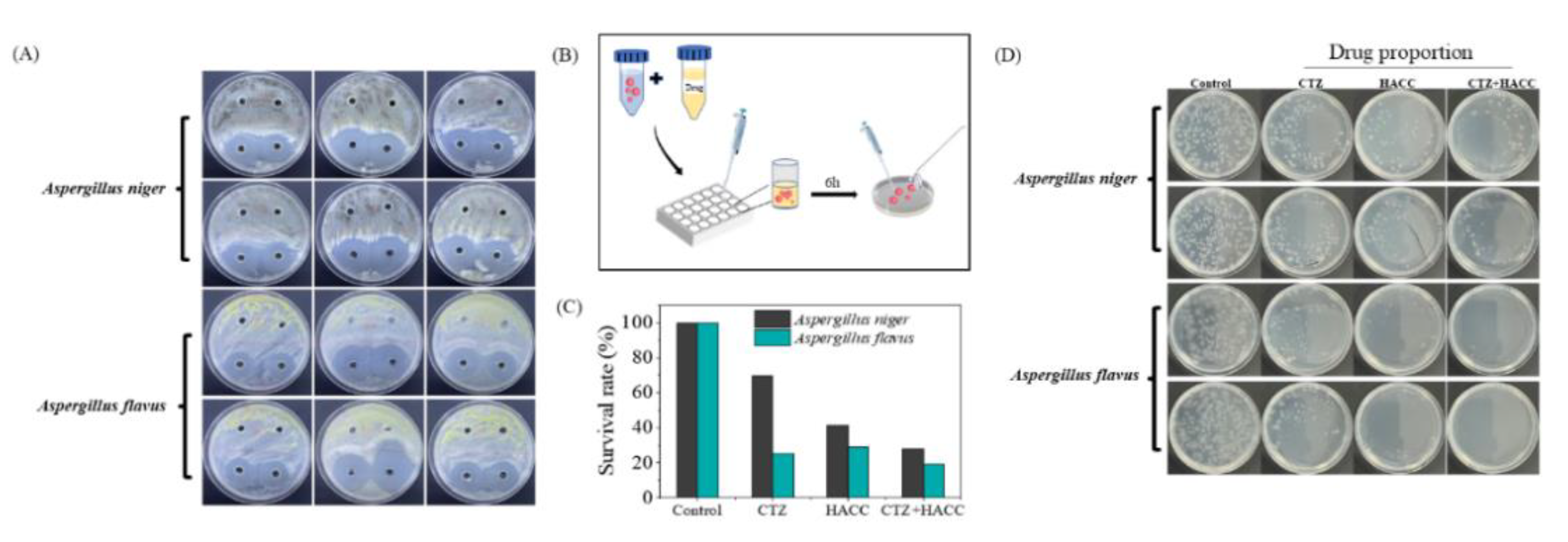 A Spray-On Microemulsion with Mold-Proof Effect on Paper