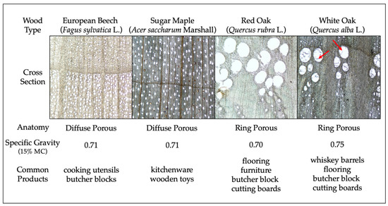 Wood Cutting Board Finishes and Their Effect on Bacterial Growth