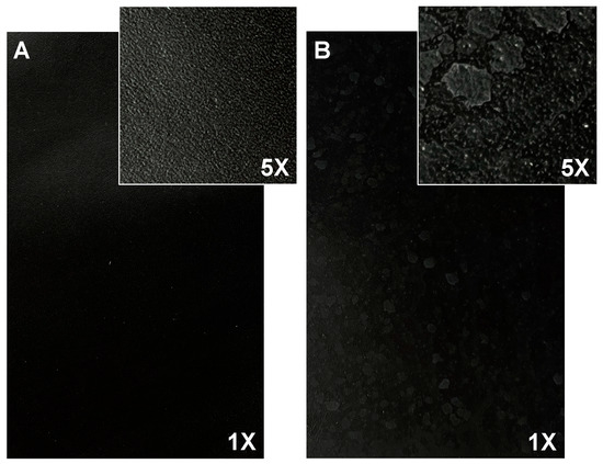 From Leather Wastes back to Leather Manufacturing: The Development of ...