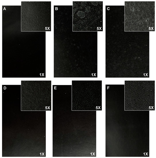 From Leather Wastes back to Leather Manufacturing: The Development of ...