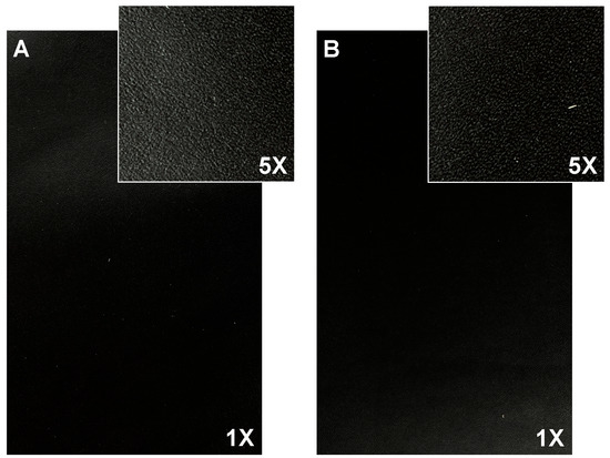 From Leather Wastes back to Leather Manufacturing: The Development of ...