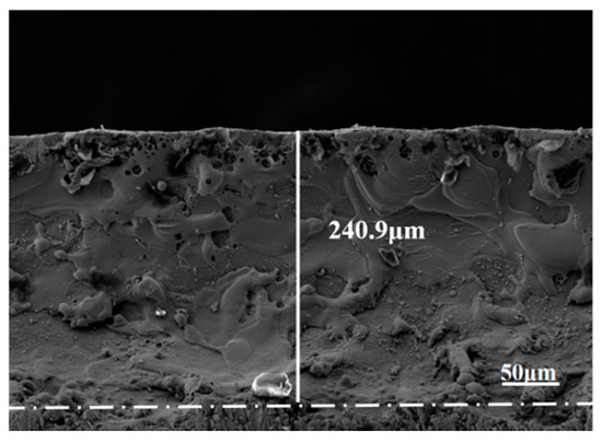 Effect of Salt Bath Nitriding and Reoxidation Composite Texture on ...