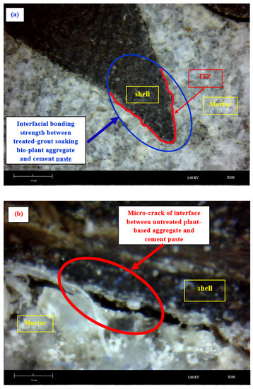 Effect of Pre-Soaking Treatment Method of Plant-Based Aggregate on the ...