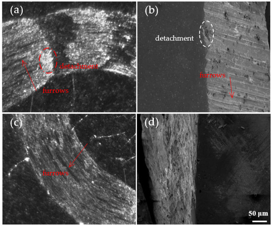 Mechanical Properties and Wear Resistance of CrSiN Coating Fabricated ...