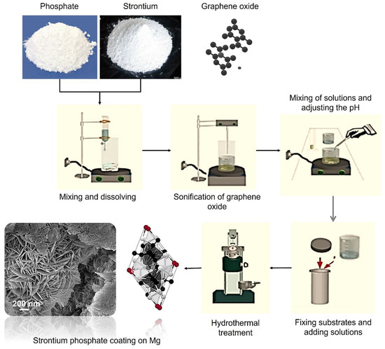 Surface Modification of Pure Mg for Enhanced Biocompatibility and ...