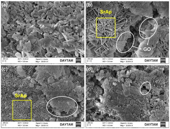 Surface Modification of Pure Mg for Enhanced Biocompatibility and ...