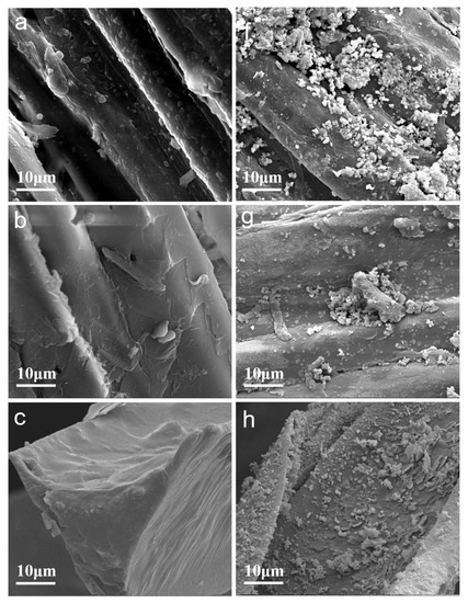 Facile Preparation of Durable Superhydrophobic Coating by Liquid-Phase ...
