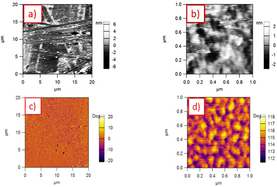 Coatings | Free Full-Text | Microstructural and Morphological Characterization of the Cobalt ...
