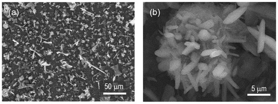 Electrophoretic Deposition of Rochelle Salt Nanocrystals on Aluminum Plate