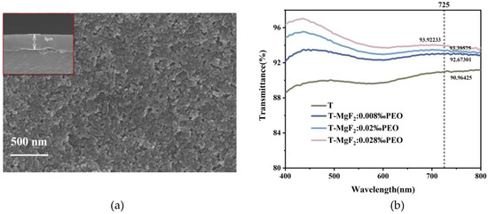 Synthesis of Porous MgF2 Coating by a Sol–Gel Method Accompanied by ...