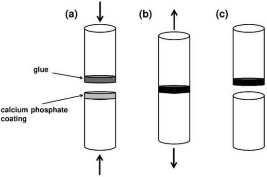 Bioactive Calcium Phosphate Coatings for Bone Implant Applications: A ...