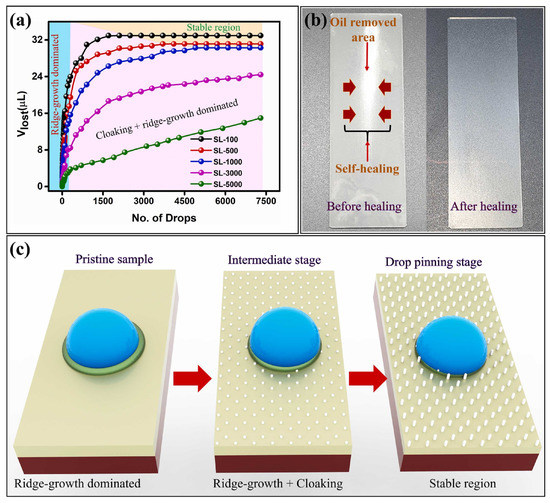 Coatings | Free Full-Text | Durability of Slippery Liquid-Infused ...