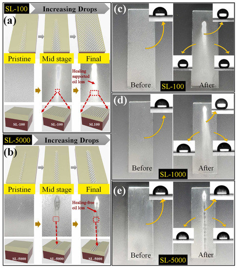 Durability of Slippery Liquid-Infused Surfaces: Challenges and Advances