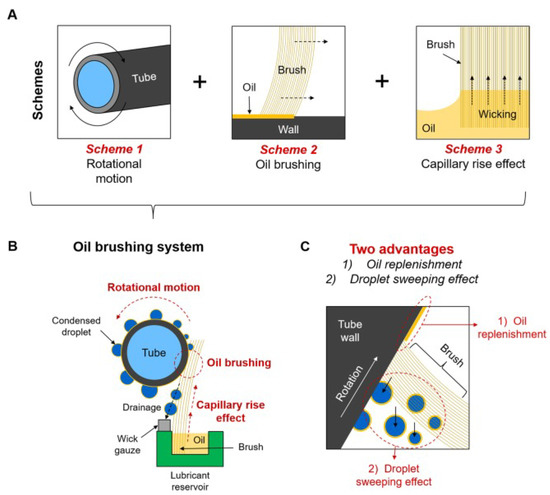 Durability of Slippery Liquid-Infused Surfaces: Challenges and Advances