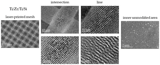 Coatings | Free Full-Text | Cell Response on Laser-Patterned Ti/Zr/Ti ...