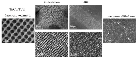 Coatings | Free Full-Text | Cell Response on Laser-Patterned Ti/Zr/Ti ...
