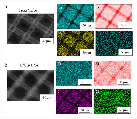 Coatings | Free Full-Text | Cell Response on Laser-Patterned Ti/Zr/Ti and Ti/Cu/Ti Multilayer ...