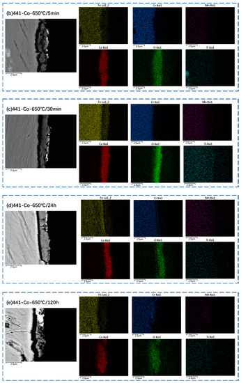 Experimental Investigation of the Initial Stage of the Oxidation ...