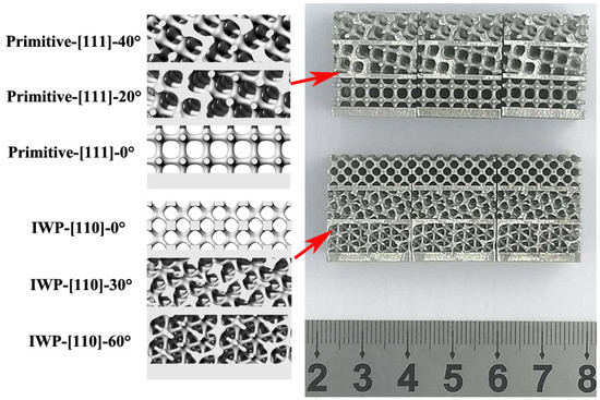 Study on the Anisotropy of Triply Periodic Minimal Surface Porous ...