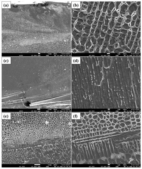 Investigation of the Microstructure and Properties of CoCrFeNiMo High ...