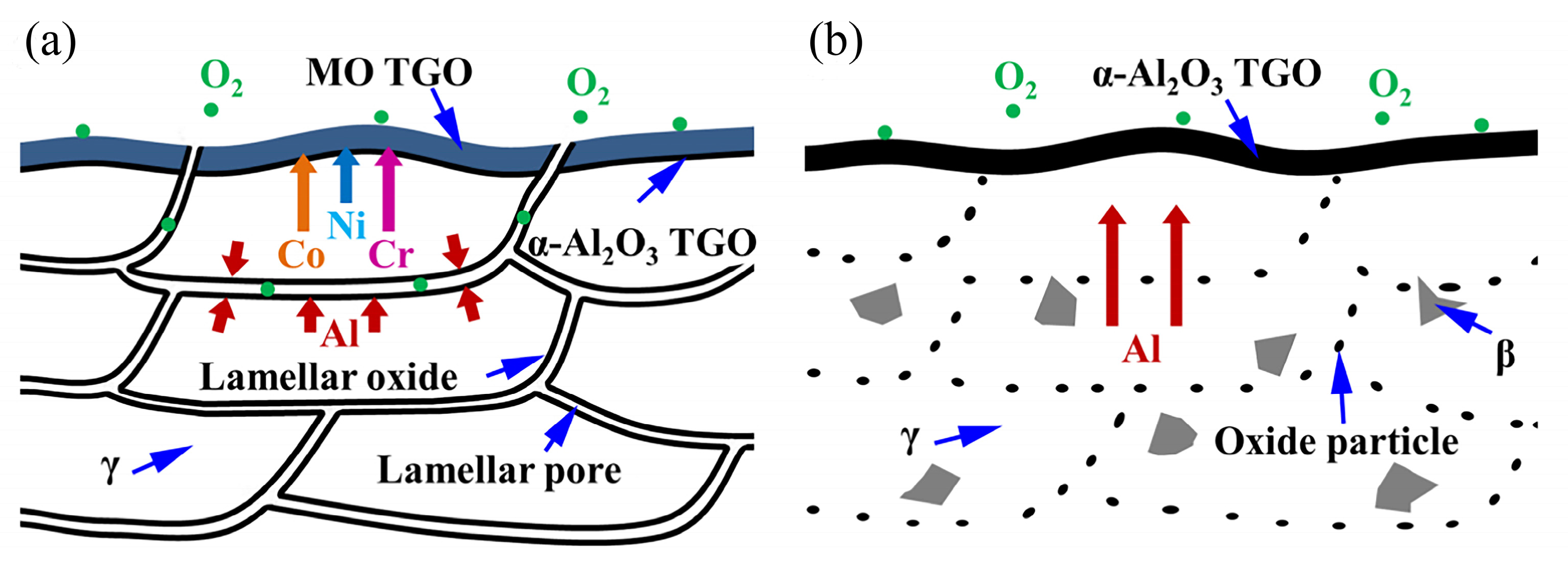 Effect of Pre-Heat-Treatment on the Oxidation Resistance of MCrAlY ...