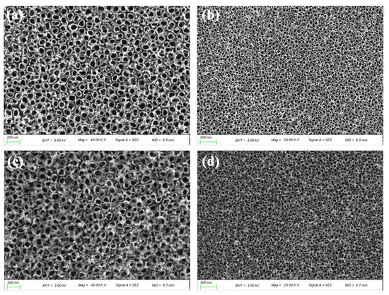 Preparation and Photoelectrochemical Properties of Mo/N Co-Doped TiO2 ...