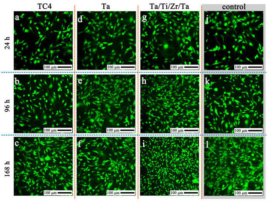 Coatings | Free Full-Text | Microstructure and Properties of Monolayer ...