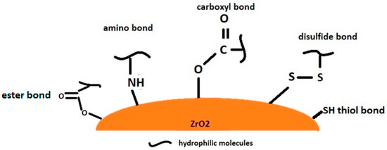 Present and Future of ZrO2 Nanostructure as Reservoir for Drug Loading ...