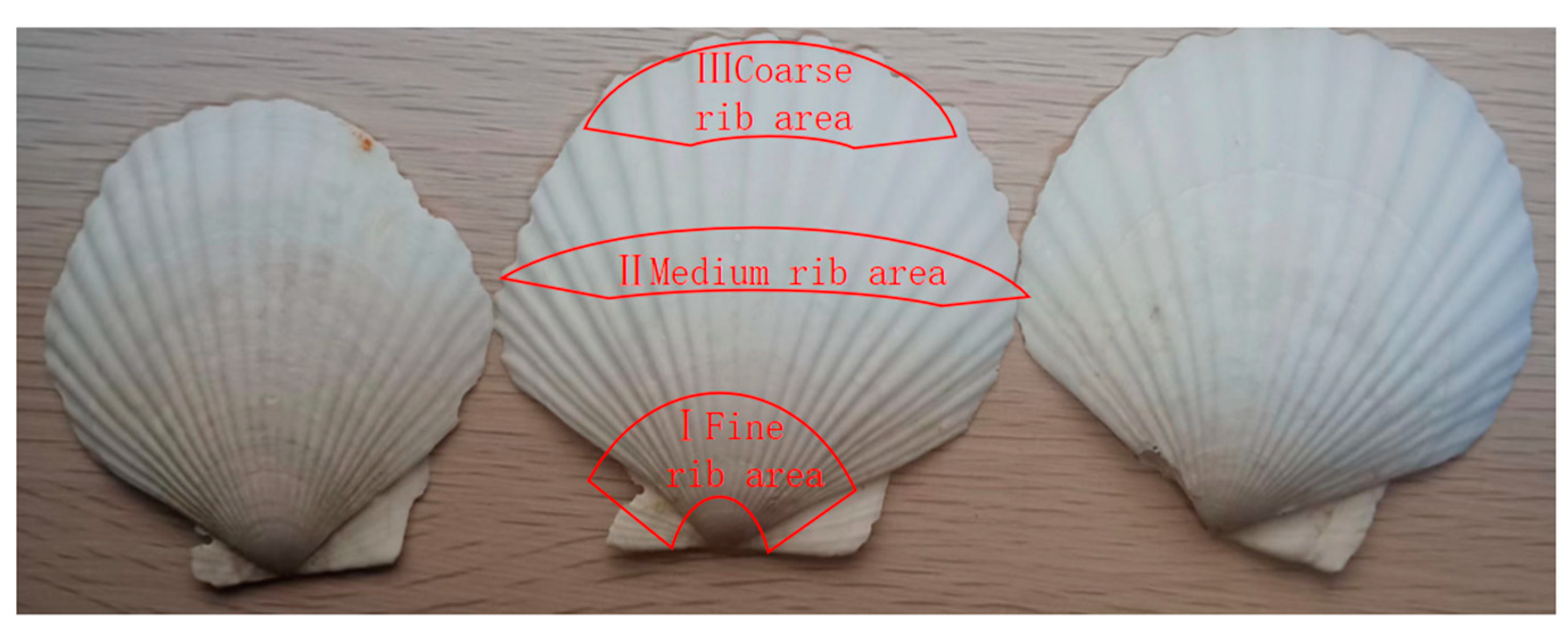 Study on Wear Resistance of Nickel Cladding Layer with Imitation Shell ...
