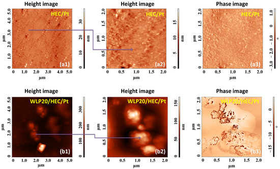 Insights into Interfacial Features of Metal/Eco-Composites Designed for ...