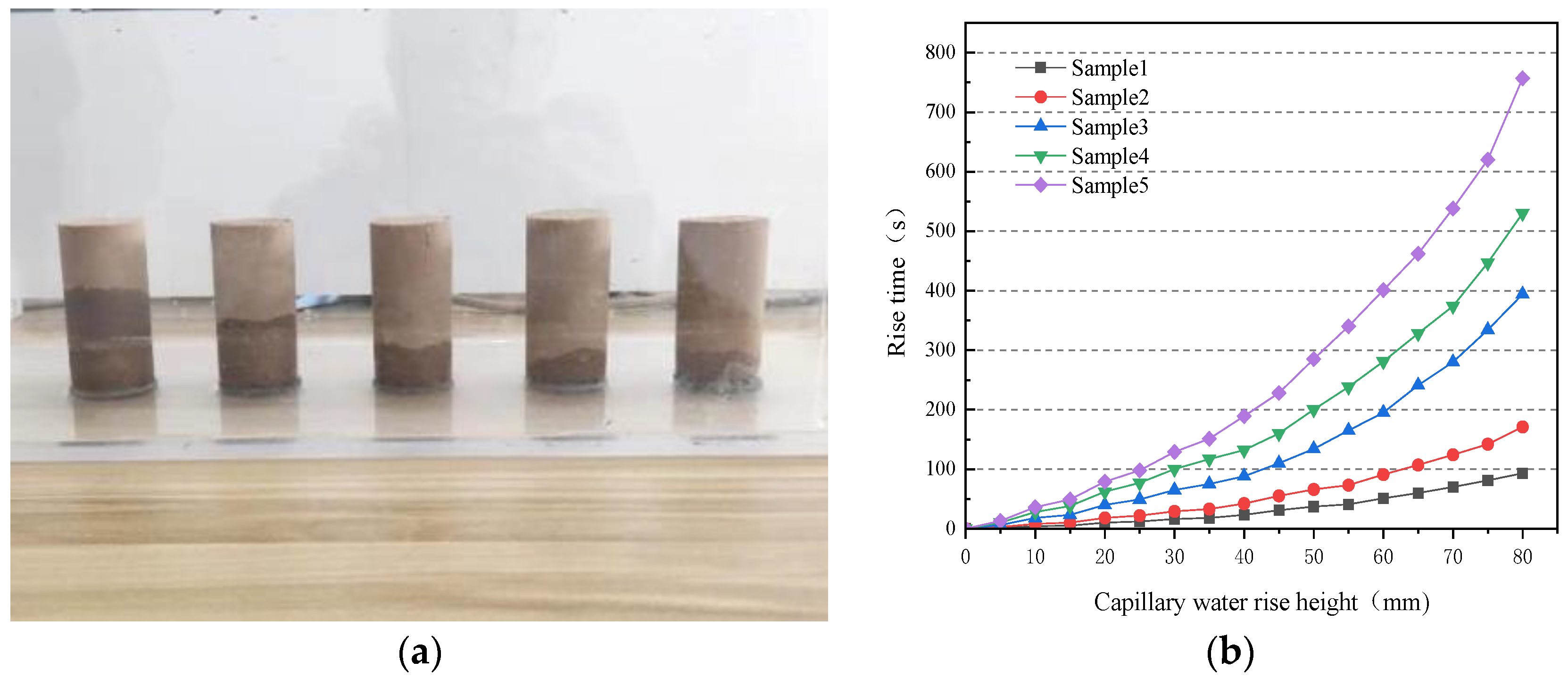 Study on Strengthening and Waterproofing Mechanism of Calcium ...