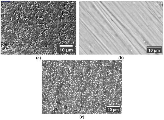 Coatings | Free Full-Text | Influence of Cu Substitution on the ...