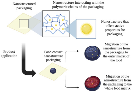 Nanotechnology in Packaging for Food Industry: Past, Present, and Future