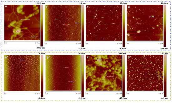 Construction of Amphiphilic Indocyanine–Green–Based Langmuir Film and ...