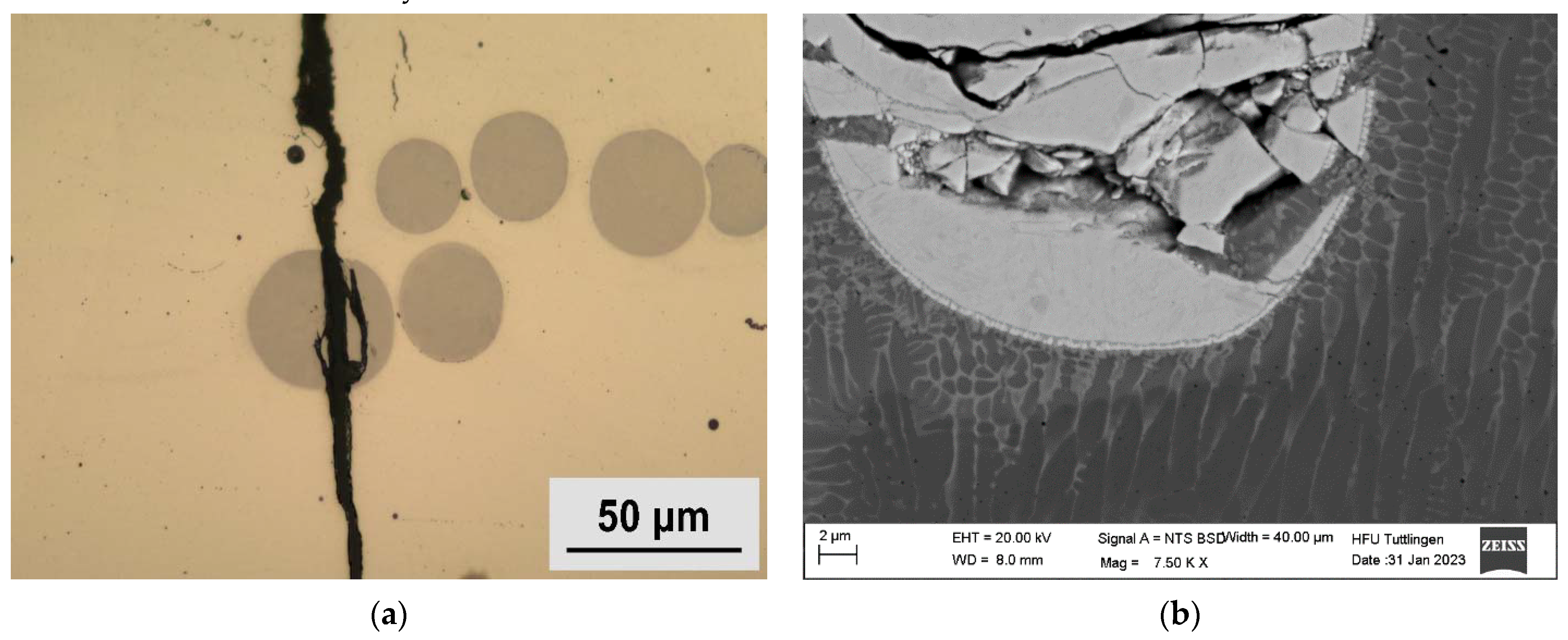 Microstructural Properties of Particle-Reinforced Multilayer Systems of ...